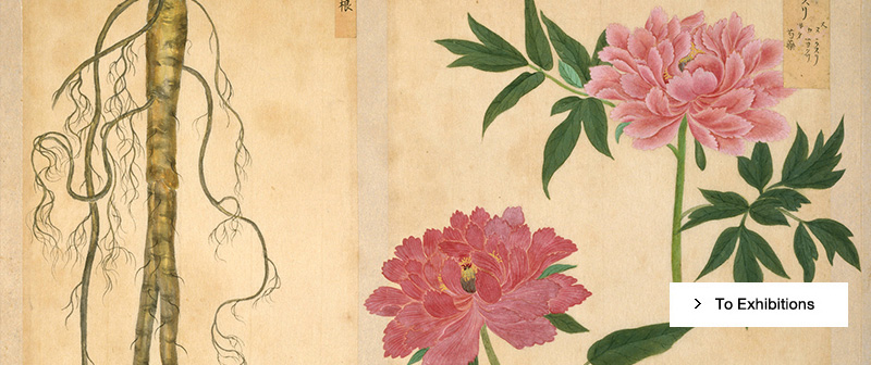 Nezu Museum - 根津美術館