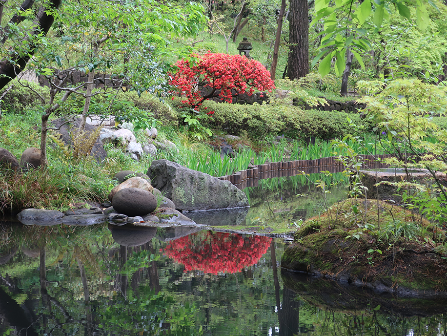 Garden｜Nezu Museum